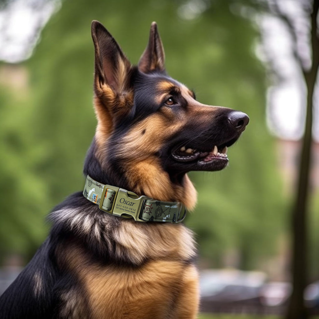 German Shepherd Collars (w/ Sizing and Guide) – Angieandallie
